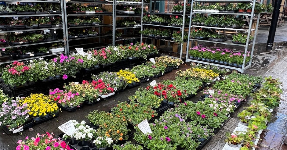 Passey Place Flowers - Florist in Eltham, Greenwich - Enjoy Greenwich