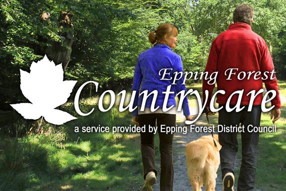 Welcome to Epping Forest - Visit Epping Forest