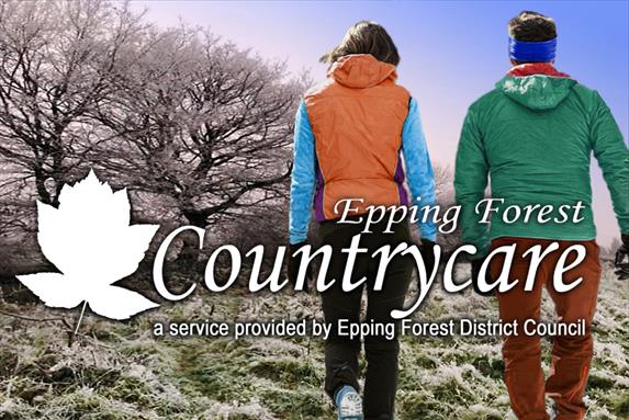Welcome to Epping Forest - Visit Epping Forest