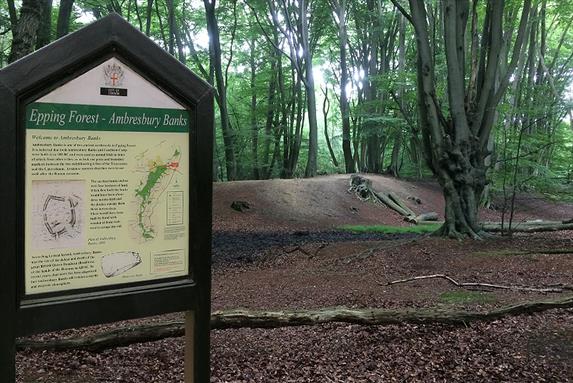 Welcome to Epping Forest - Visit Epping Forest