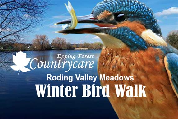 Welcome to Epping Forest - Visit Epping Forest