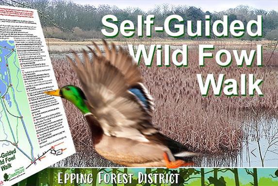 Welcome to Epping Forest - Visit Epping Forest