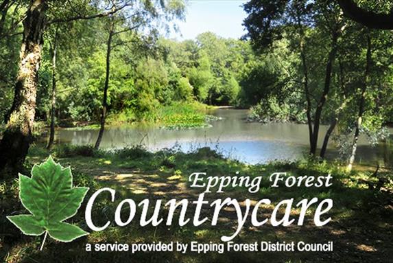 Explore - Visit Epping Forest