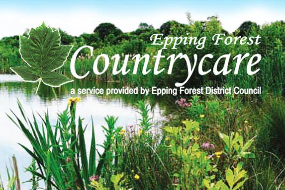 Welcome to Epping Forest - Visit Epping Forest