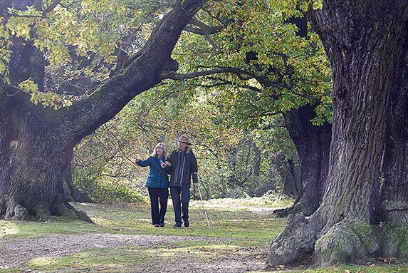 Explore - Visit Epping Forest