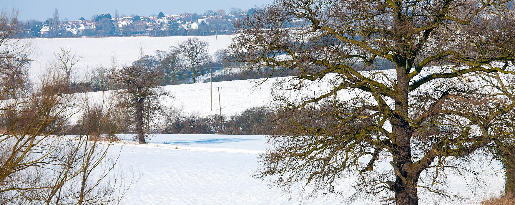 Welcome to Epping Forest - Visit Epping Forest
