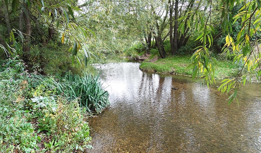Roding Valley Meadows - Wildlife Centres & Nature Reserves in Chigwell ...