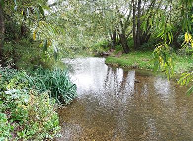 Roding Valley Meadows - Wildlife Centres & Nature Reserves in Chigwell ...