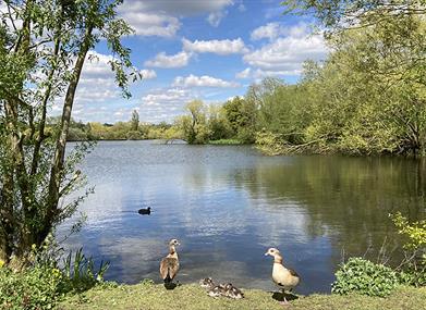 Roding Valley Meadows - Wildlife Centres & Nature Reserves in Chigwell ...