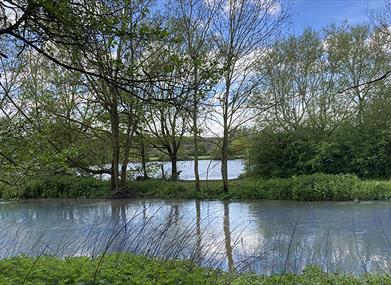 Roding Valley Meadows - Wildlife Centres & Nature Reserves in Chigwell ...