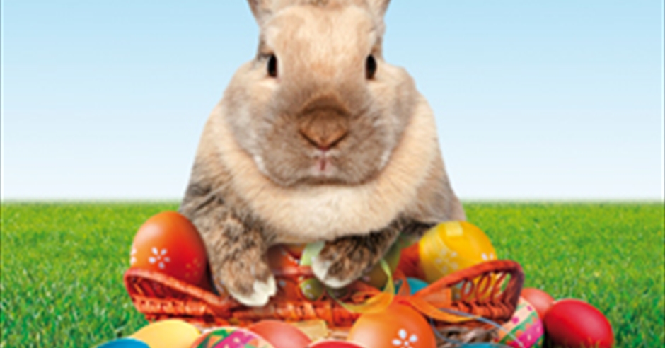 Easter in Essex | What’s On | Visit Essex