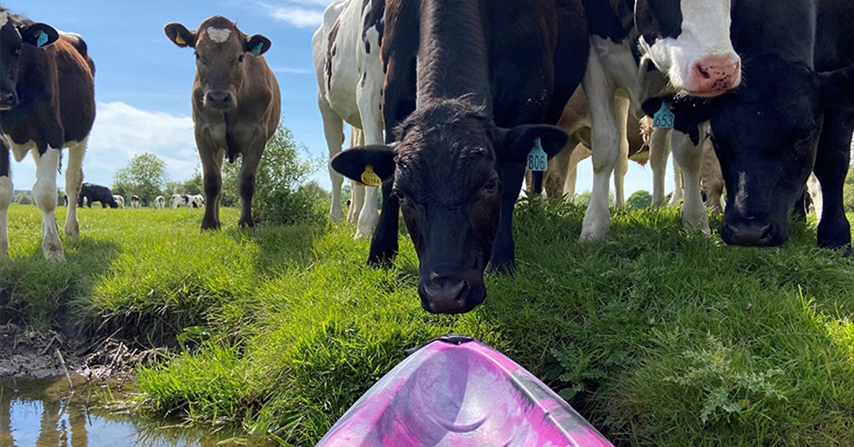 Weald Country Park - Country Park in South Weald, Brentwood - Visit Essex