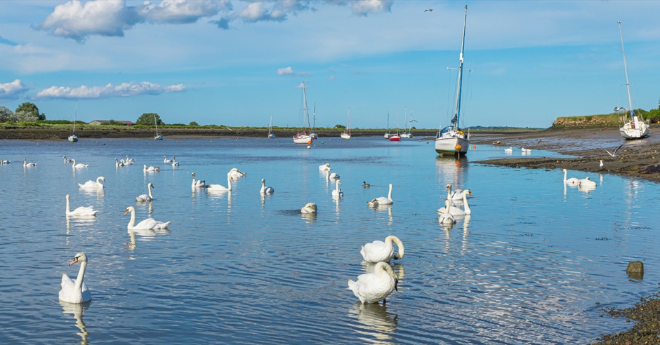 Rochford, Essex | Things to Do & History