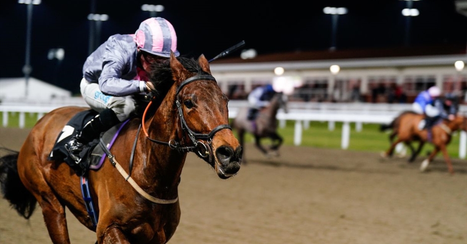 Thursday Racing - Horse Event in Chelmsford, Chelmsford - Visit Essex