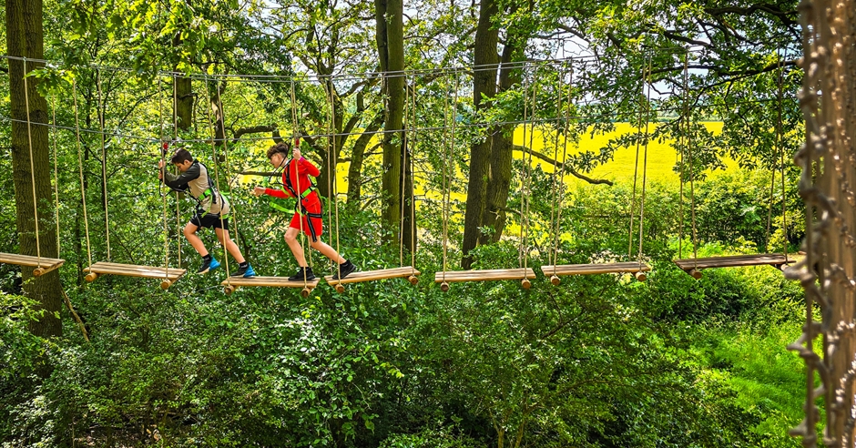 Go Ape Chelmsford - High Ropes Course in Chelmsford, Chelmsford - Visit ...