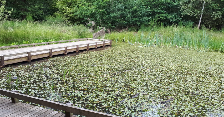 Highwoods Country Park - Walking Route in Colchester, Colchester ...