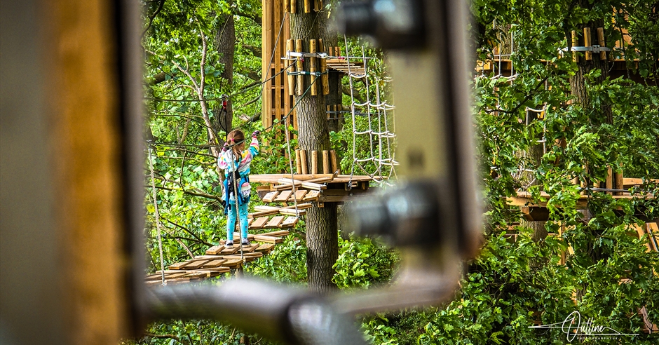 Easter at Go Ape - Children's Activity Event in Chelmsford, Chelmsford ...