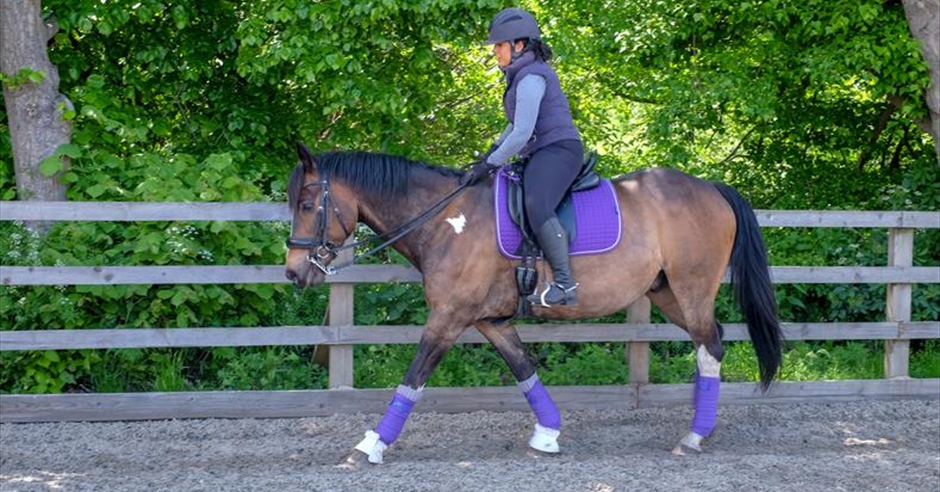 Lee Valley Riding Centre - Horse Riding in Leyton, Waltham Abbey ...