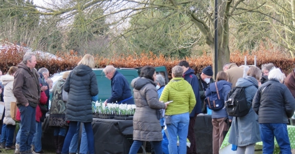 Ultimate Snowdrop Sale - Flower Festival/Show in Enfield, Waltham Abbey ...