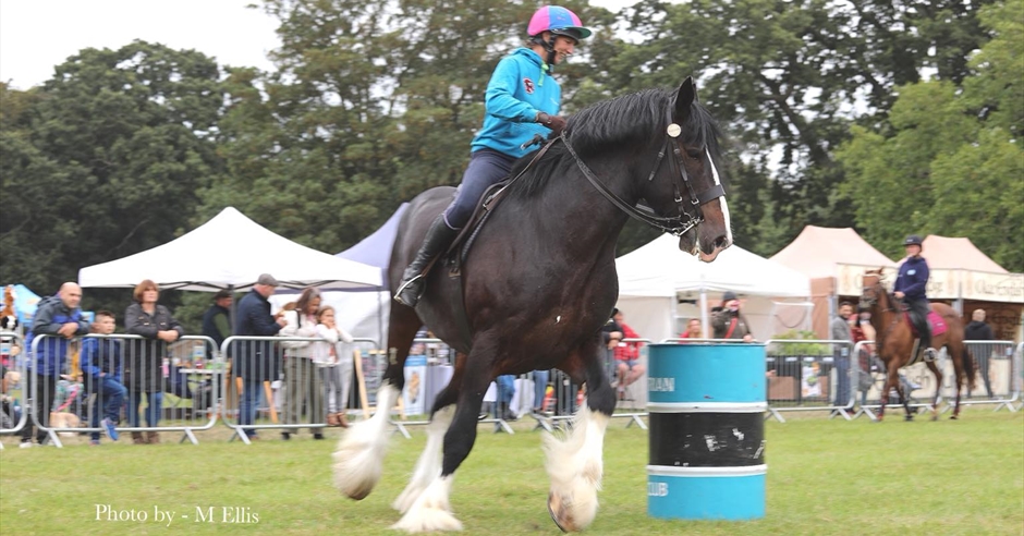 Essex Country Show - Country Show in Brentwood, Brentwood - Visit Essex