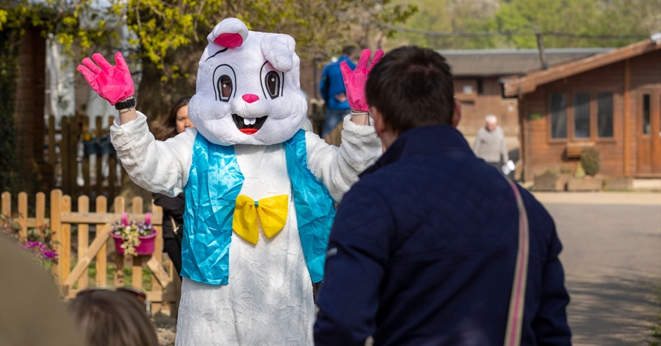 Easter Weekend - Animal Event in Brentwood, Brentwood - Visit Essex