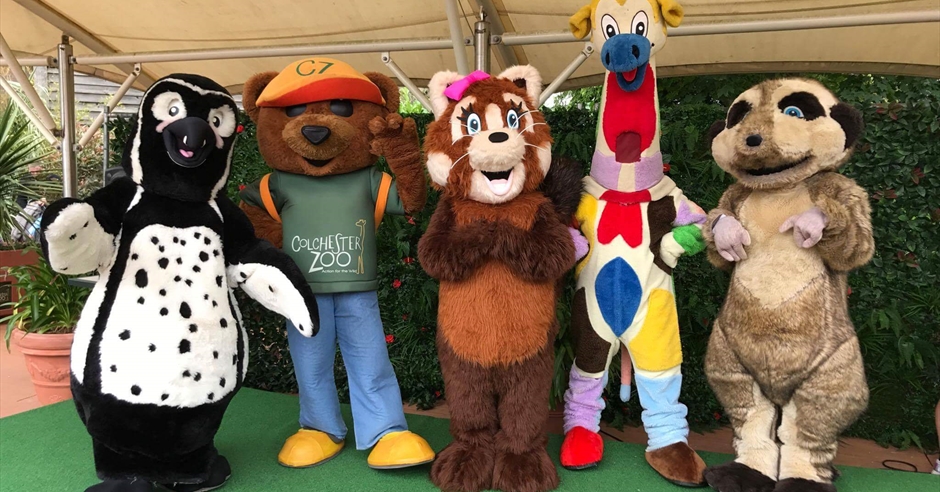 Zoo Crew Celebrations - Outdoor Event in Colchester, Colchester - Visit ...