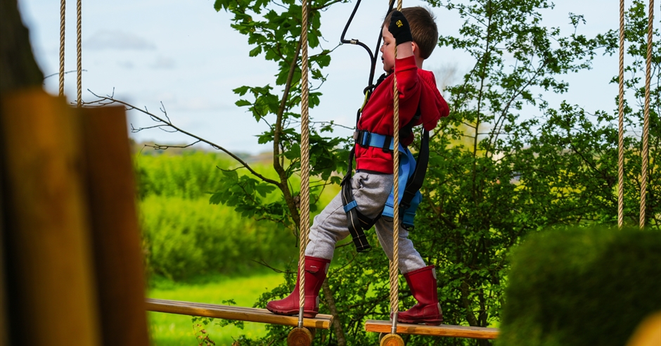 Go Ape Chelmsford - High Ropes Course in Chelmsford, Chelmsford - Visit ...
