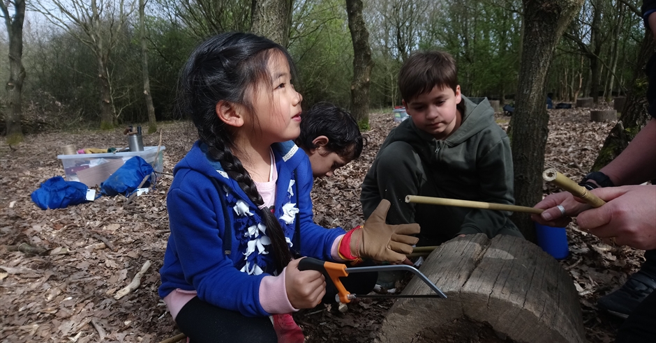 Family Forest Fun - Children's Activity Event in Romford, Romford ...