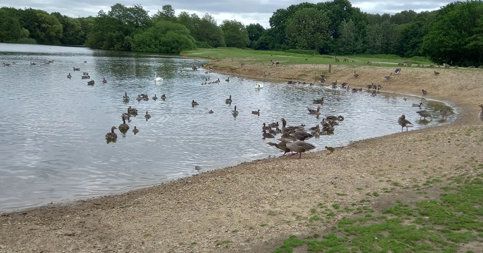 Guided Heritage Walk - Historical Event in South Ockendon, South ...