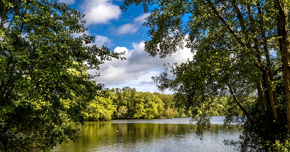 Weald Country Park - Country Park in South Weald, Brentwood - Visit Essex