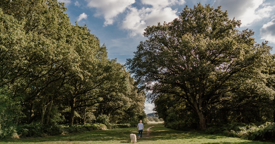 Galleywood - Village in Galleywood, Chelmsford - Visit Essex