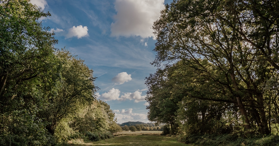 Galleywood - Village in Galleywood, Chelmsford - Visit Essex
