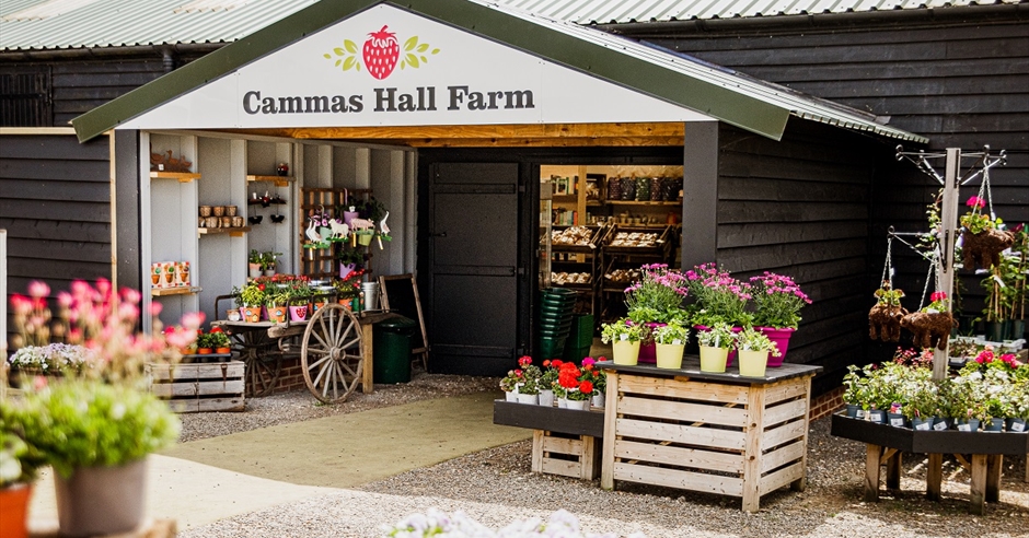 Cammas Hall Farm - Children's Activity Centre in Hatfield Broad Oak ...