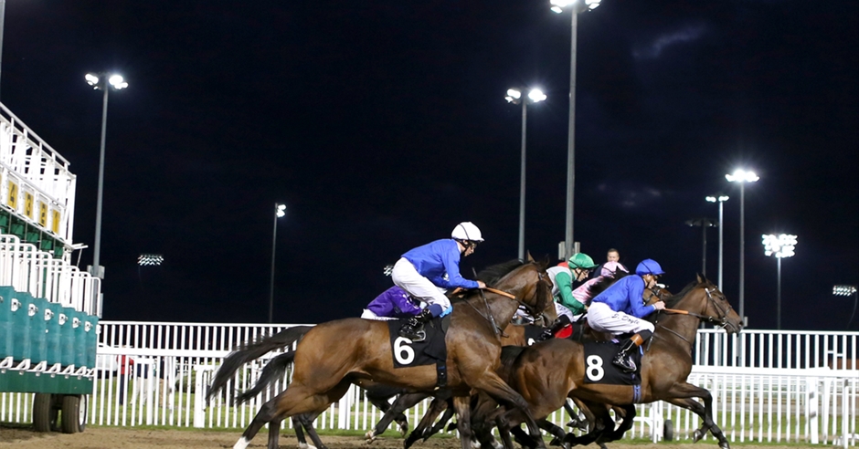 Chelmsford City Racecourse - Racecourse in Chelmsford - Visit Essex