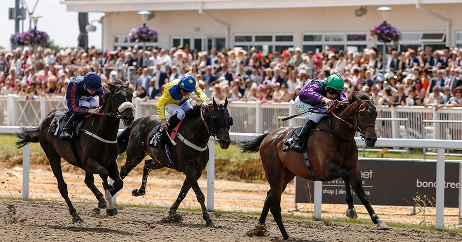 Chelmsford City Racecourse - Racecourse in Chelmsford - Visit Essex