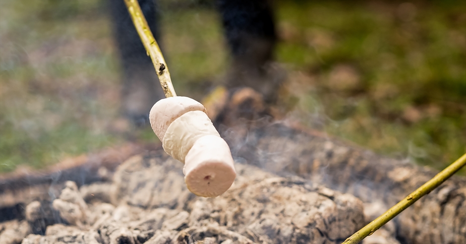 Chigwell Meadows Family Forest Fun - Children's Activity Event in ...