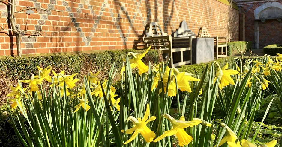 Spring Open Day - Gardening Event in Colchester, Colchester - Visit Essex