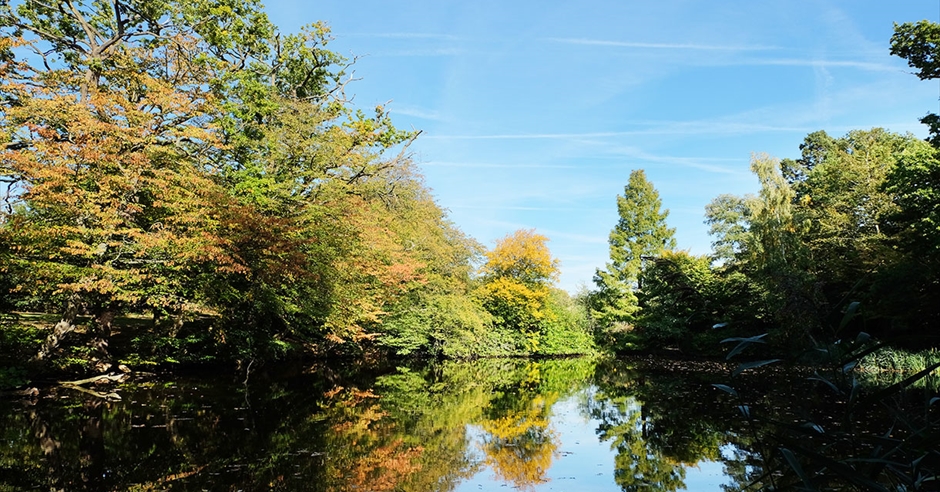 Danbury - Village in Danbury, Chelmsford - Visit Essex