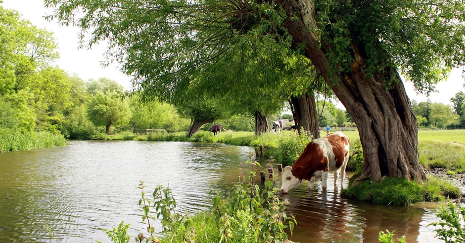 Dedham - Village in Dedham, Dedham - Visit Essex