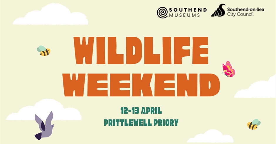 Wildlife Weekend - Animal Event in Southend, Southend-on-Sea - Visit Essex