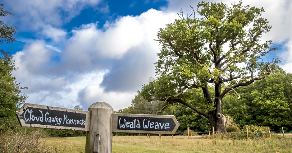 Weald Country Park - Country Park in South Weald, Brentwood - Visit Essex