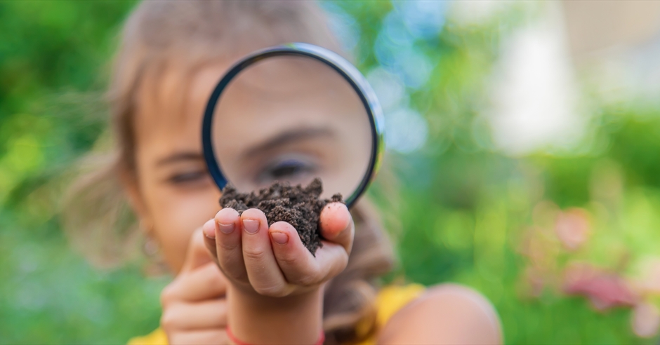 Becoming a Nature Watcher - Children's Activity Event in Chelmsford ...