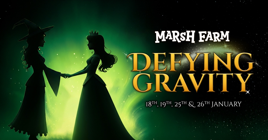 Defying Gravity - Children's Activity Event in Chelmsford, South ...