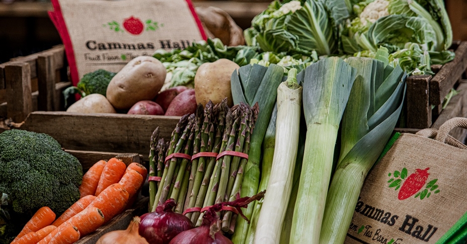 Cammas Hall Farm Shop - Shop - Farm in Hatfield Broad Oak, Stansted ...