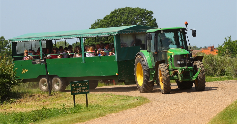 Public Farm Tours - Guided Tour in Tiptree, Colchester, Tiptree - Visit ...