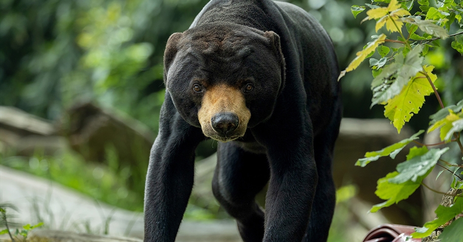 February Half Term - Animal Event in Colchester, Colchester - Visit Essex