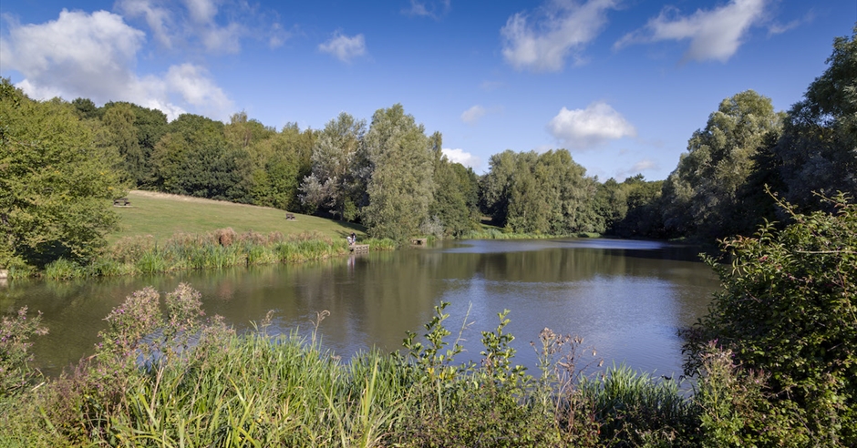 Highwoods Country Park - Country Park in Colchester, Colchester - Visit ...