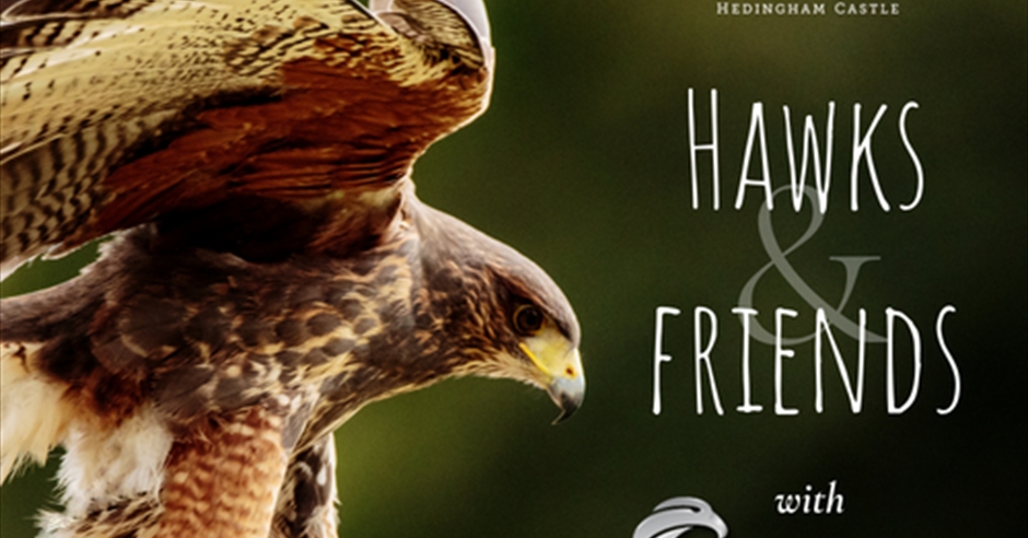 Hawks & Friends at Hedingham Castle - Animal Event in HALSTEAD ...