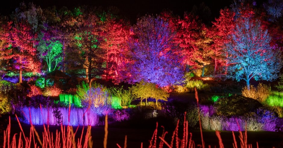 Glow at RHS Hyde Hall - Light Festival in Chelmsford, Chelmsford ...