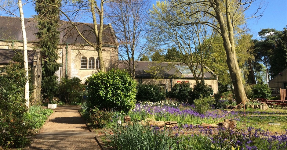 Langford County Fayre and Classic Car Show - Children's Activity Event ...